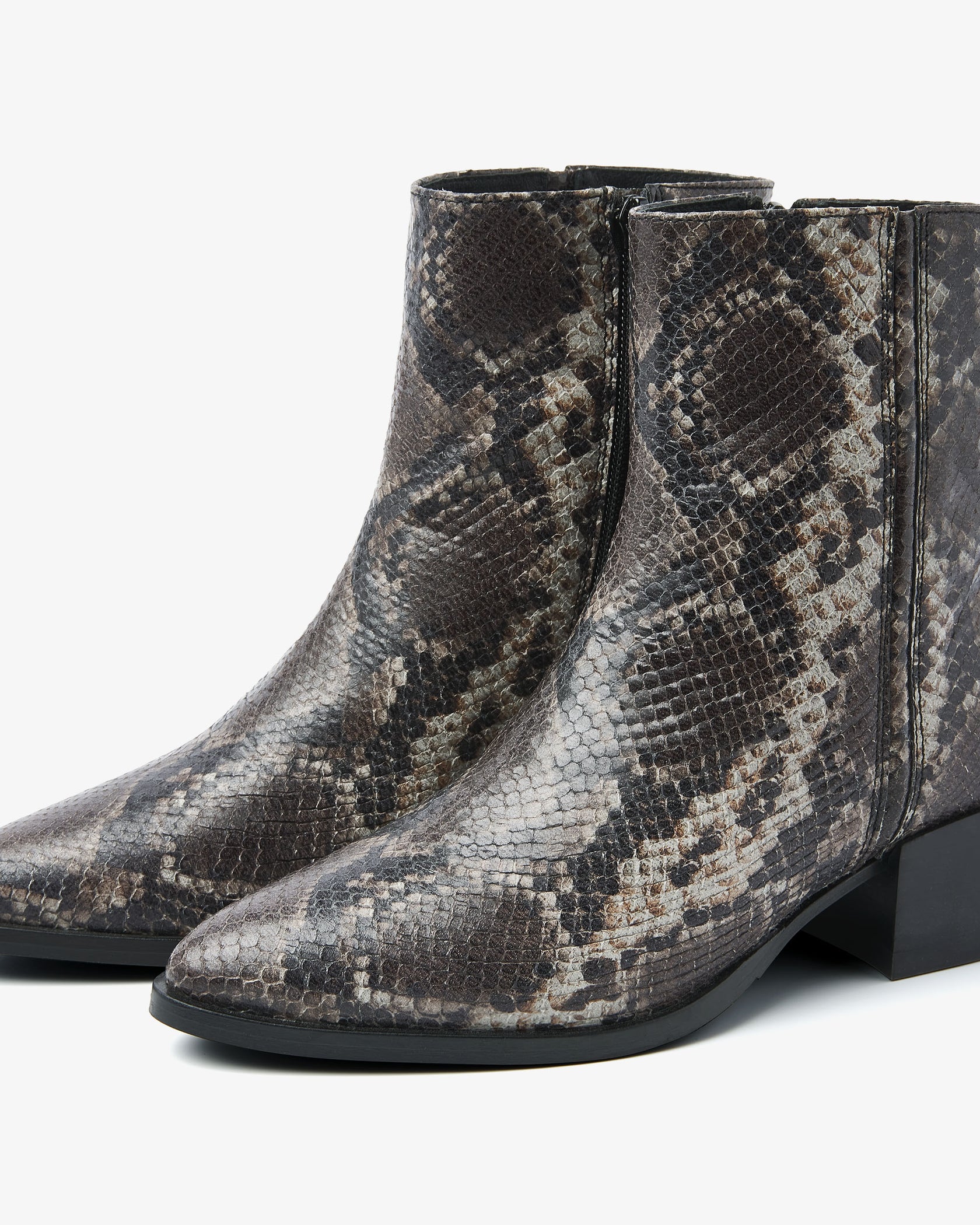 Rose Baker – VIA VAI